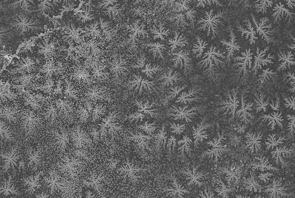 Membrane Fouling Removal Products | Genesys